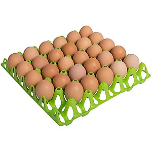 My Favorite Chicken 10 Pack Plastic Egg Flat Carton Tray Holds 30 Eggs Reusable Washable