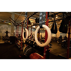 APEFIT Power Gymnastic Rings and Competition Straps | Quick Adjustment Carabiner | Anti-Theft Lock | Birch Rings | for Calisthenics, Gym & Bodyweight Training, PISP00120CARBRING