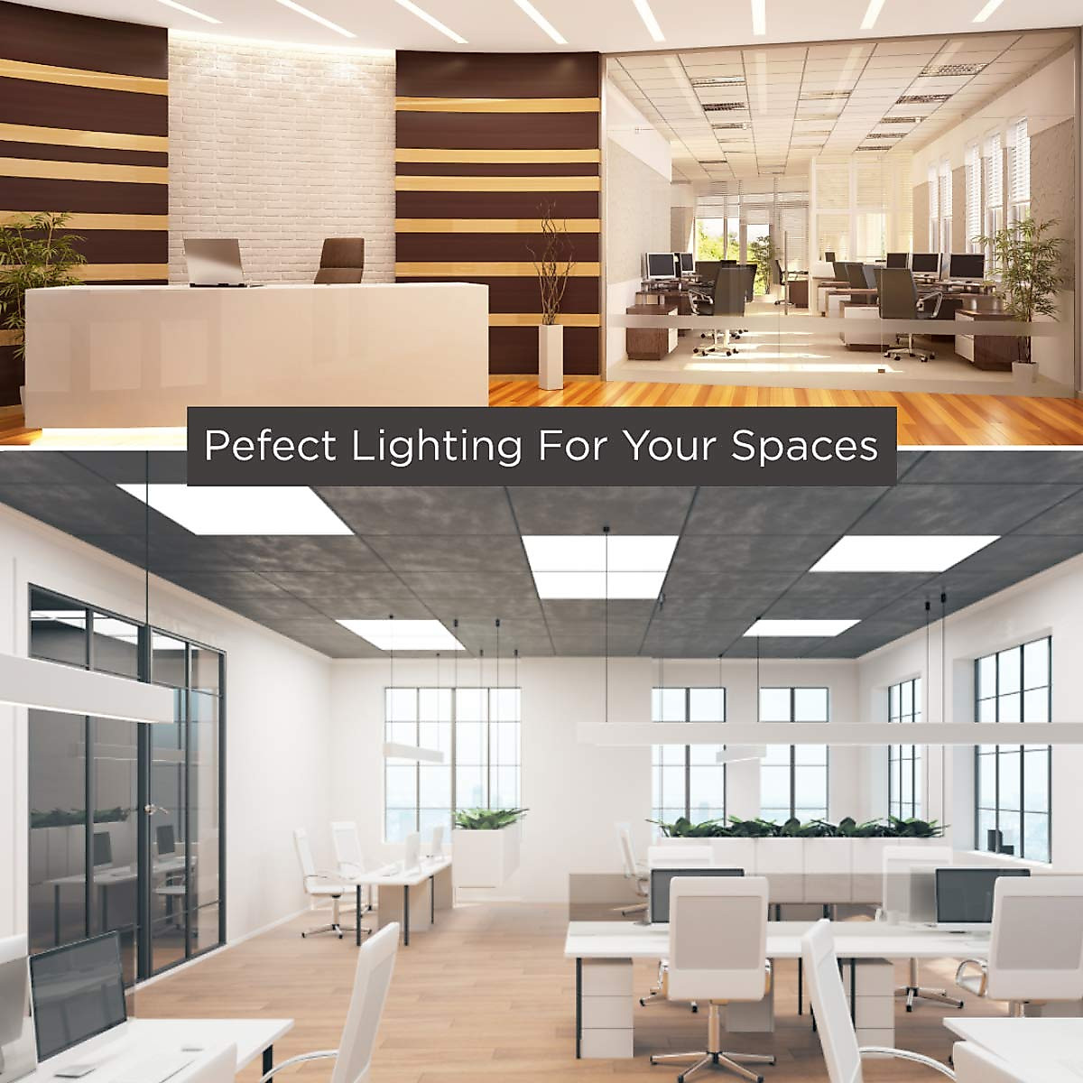 GoodBulb F32T8/841/ECO 32W 48 Inch T8 Fluorescent Light Bulb | 4100K Cool White Light Color, Medium Bi-Pin Base | 3050 Lumens 86 CRI 24000 Life Hours | Instant/Programmed Start | 25 Bulbs Pack