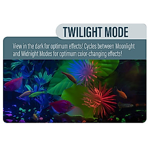 GloFish Aquarium Kit Fish Tank with LED Lighting and Filtration Included