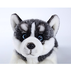 CU-MATE 15.7'' Siberian Husky Stuffed Dog Animal Simulation-Realistic & Lifelike Soft Handmade Lying Dog Plush Toy Puppy -Present Gift for Boys and Girls