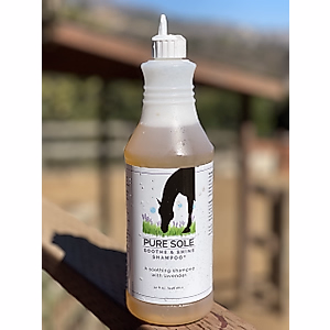 Pure Sole Soothe & Shine Shampoo - A Gentle Deep Cleaning Moisturizing Horse Shampoo - Hydrates Skin and Conditions Coat. - Perfect for Mane and Tail Too - 32 oz.