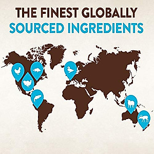 Wellness CORE Grain-Free High-Protein Dry Dog Food, Natural Ingredients, Made in USA with Real Meat, All Breeds, For Adult Dogs (Ocean Whitefish, Herring & Salmon, 26-Pound Bag)