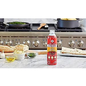 First Alert EZ Fire Spray, Extinguishing Aerosol Spray, Pack of 2, AF400-2