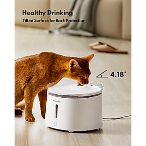 Silent Cat Water Fountain, HomeRunPet Pet Fountain with Wireless-Pump, Small-Dog Water Dispenser, Dual Mode, Quick Assembly & Easy-Clean, Filters Included, 68 oz/2L