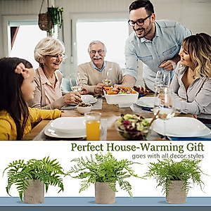 Small Fake Plant Potted Plants Artificial Decor Silk Ferns Plant Faux Plants in Pots for Home Living Room Bedroom Desk Bathroom Window Shelf Farmhouse Decoration