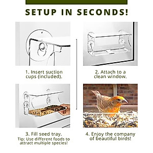 Nature's Envoy Window Bird Feeder – Clear View for Birdwatching - Strong Suction Cups for Outside - Slide Out Seed Tray w/Drain Holes for Easy Refill & Clean - Acrylic Outdoor Feeder for Wild Birds