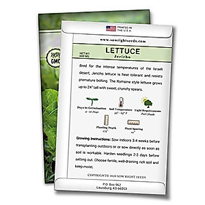 Sow Right Seeds - Jericho Lettuce Seeds for Planting - Non-GMO Heirloom Packet with Instructions to Plant a Home Vegetable Garden; Indoors or Outdoor; Heat Tolerant Romaine Lettuce; Gardening Gift