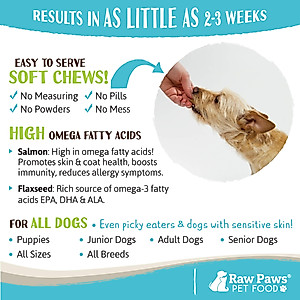 Raw Paws Skin & Coat Treats for Dogs, 10-oz/100-ct - USA Made - Coconut & Salmon Omega 3 Dog Treats, Soft Skin Chews - Dry Skin Dog Treats Support Healthy Dog Coat - Skin and Coat Supplement for Dogs