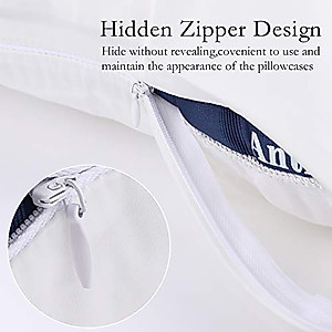 JOGJUE Silk Pillowcase for Hair and Skin 2 Pack 100% Mulberry Silk Bed Pillowcase Hypoallergenic Soft Breathable Both Sides Silk Pillow Case with Hidden Zipper, Queen Size Pillow Cases (White)