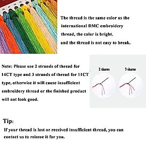 Maydear Full Range of Embroidery Starter Kits Stamped Cross Stitch Kits Beginners for DIY Embroidery 11CT 3 Strands - Beautiful Flowers 13×15(inch)