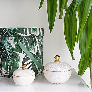 BRIGANTI Scented Candle in White Glass Jar (Vanilla Cupcake) Vanilla Bean, Buttercream, Cake, and Bourbon | Elegant Candle for Home Aromatherapy, All Natural Soy Wax 4oz