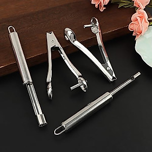 CALIDAKA Cherry Pitter Tool, 4PCS Stainless Steel Pitter Tool, Portable Cherry Remover Olives Pitter Tool, Kitchen Pitter for Cherry, Olives, Hawthorn, Red Date