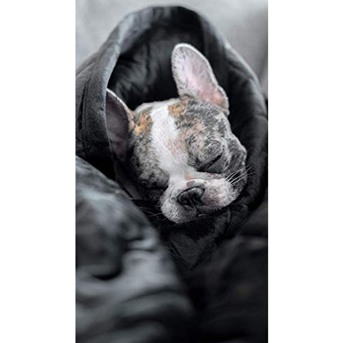 The Amazing Blanket — Adult Weighted Blanket (15 lbs) — 48" W x 72" L