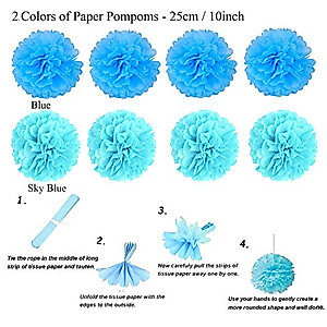 ZERODECO Party Decoration, 21 Pcs Blue Hanging Paper Fans, Pom Poms Flowers, Garlands String Polka Dot and Triangle Bunting Flags for Boy Birthday Parties, Bridal Showers, Baby Showers, Wedding