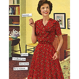 Anne Taintor Birthday Cards Funny Vintage Retro Greeting Card for Her, 4.25" x 5.5", I Walked Into This Room For a Reason