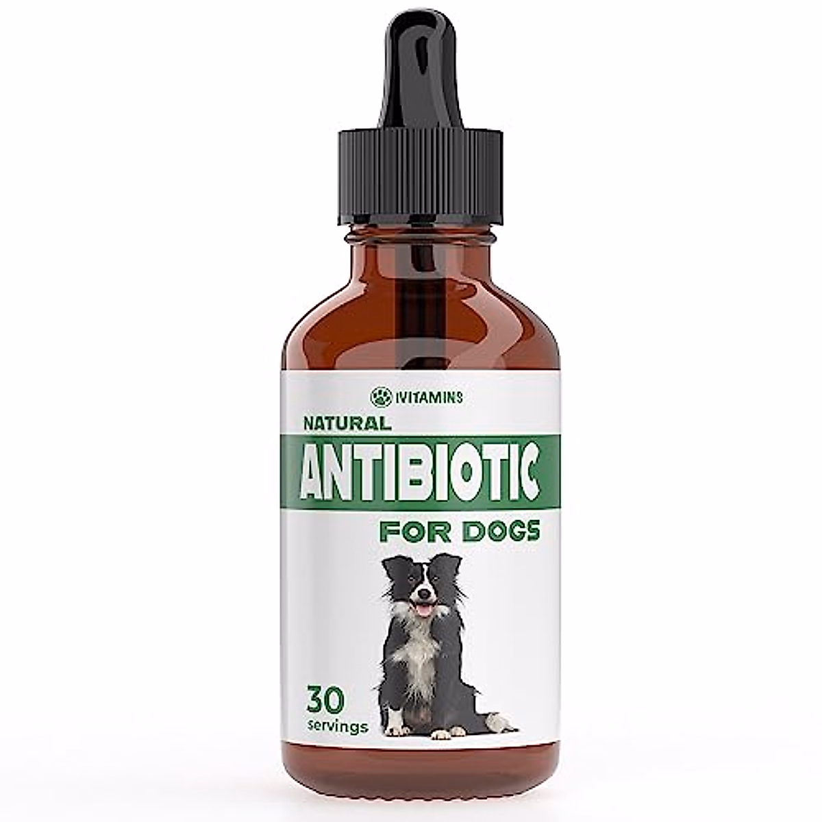 Dog Antibiotics - Antibiotics for Dogs - Antibiotic for Dog - Yeast Infection Treatment for Dogs - Dog Yeast Infection Treatment - Dog Ear Infection Treatment Antibiotic - Bacon Flavored (1 Pack)