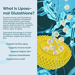 Liposomal Glutathione Supplement 2000mg, Pure Reduced Active L-Glutathione Complex Formula for Max Antioxidant, Detox, Health Aging and Immune