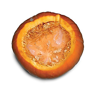 Dakota Products PG001 Pumpkin Gutter & Carving Tool,Silver