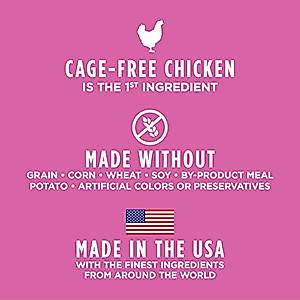 Instinct Raw Boost Small Breed Grain Free Recipe with Real Chicken Natural Dry Dog Food, Bag, 10 Pound (Pack of 1)