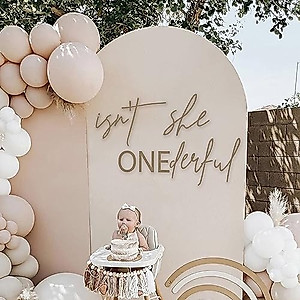 Isn't She Onederful First Birthday Party Theme Backdrop Sticker - Newborn Onderful Birthday Girl, Photography Background for 1st Birthday Baby Party Decoration(isnt she Onederful)