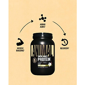 Animal 100% Whey Protein Powder – Whey Blend for Pre- or Post-Workout, Recovery or an Anytime Protein Boost– Low Sugar – Vanilla, 1.8 lb