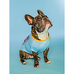 Doggy Parton Blue Dolly & The Mighty Fine Band Shirt for Pets - M (22120727)