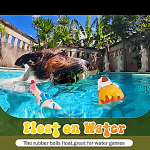 Silipull 6 Pcs Dog Latex Squeaky Toys Chicken Interactive Dog Toy Charming PET Squawkers Earl Captain Jack Durable Latex Chicken Dog Toy Soft Rubber Chew Molar Dog Toys for Small Medium Large Dogs