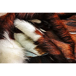 bonanza leathers Genuine Cowhide Rug Classic Tricolor Size S/L/XL 5X6/6X7/7X8 FT (L)