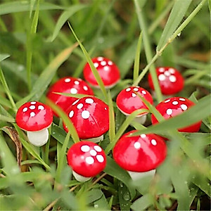 ASkinds 50Pcs/Set Mini Mushroom Decoration, Miniatures Artificial Succulent Plant Pot Resin Craft Decoration for Home DIY Micro Landscape Decor(Red)