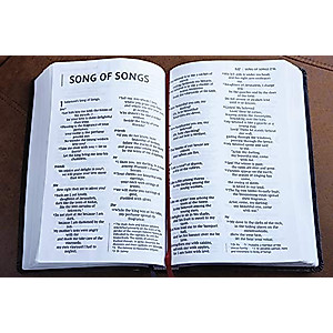 NIV, Thinline Bible, Giant Print, Bonded Leather, Black, Red Letter, Comfort Print