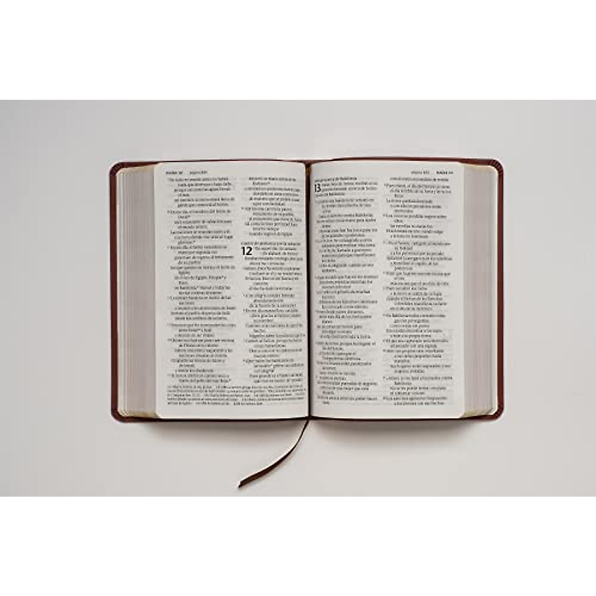 Santa Biblia NTV, Edición compacta, letra grande (SentiPiel, Café, Letra Roja) (Spanish Edition)