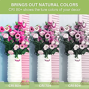 Sigalux Edison Bulbs, E26 LED Bulb ST58 Filament Clear Non-Dimmable Vintage Light Bulbs 60W Equivalent 700LM Daylight White 5000K 15, 000hrs 6 Pack