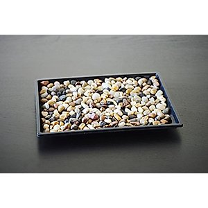 9GreenBox Bonsai Humidity Drip Tray - Decorative Catcher Plate for Drainage and Moisture - Black Polished Plastic Container with Natural Pebbles - Large Space Good for 2 Potted Miniature Trees - 7"x9"