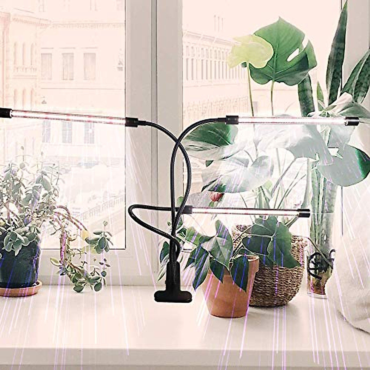 GHodec Grow Light for Indoor Plants,6000K 126LED Clip Plant Lights with Flexible Gooseneck & Timer Setting 4/8/12H,5 Dimmable Levels