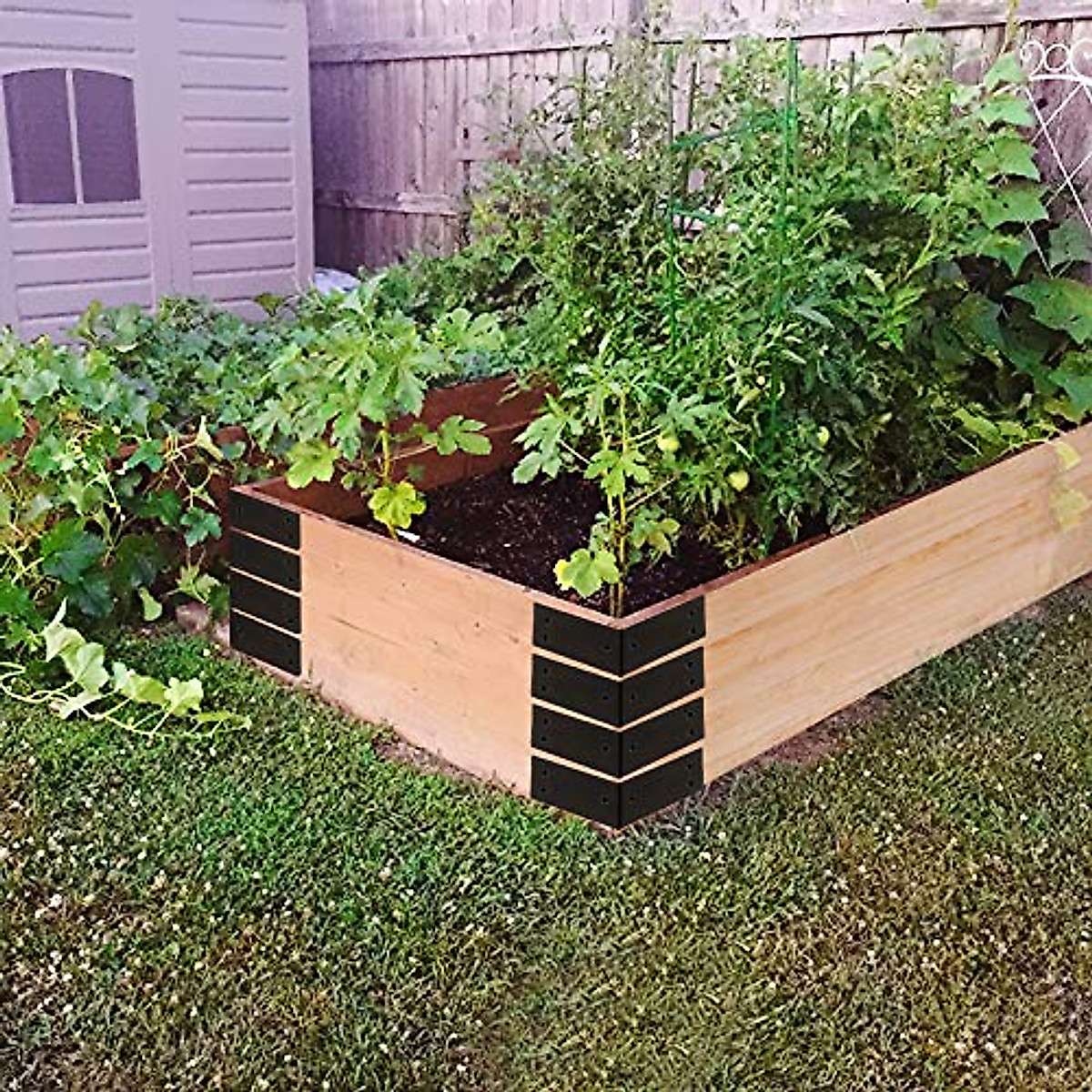 16 Pcs Garden Bed Corner Bracket- Black Pre-drilled Metal Garden Bed Corner Braces with M4 × 20MM Screws Planter Box Right Angle Brackets for Connecting Garden Bed