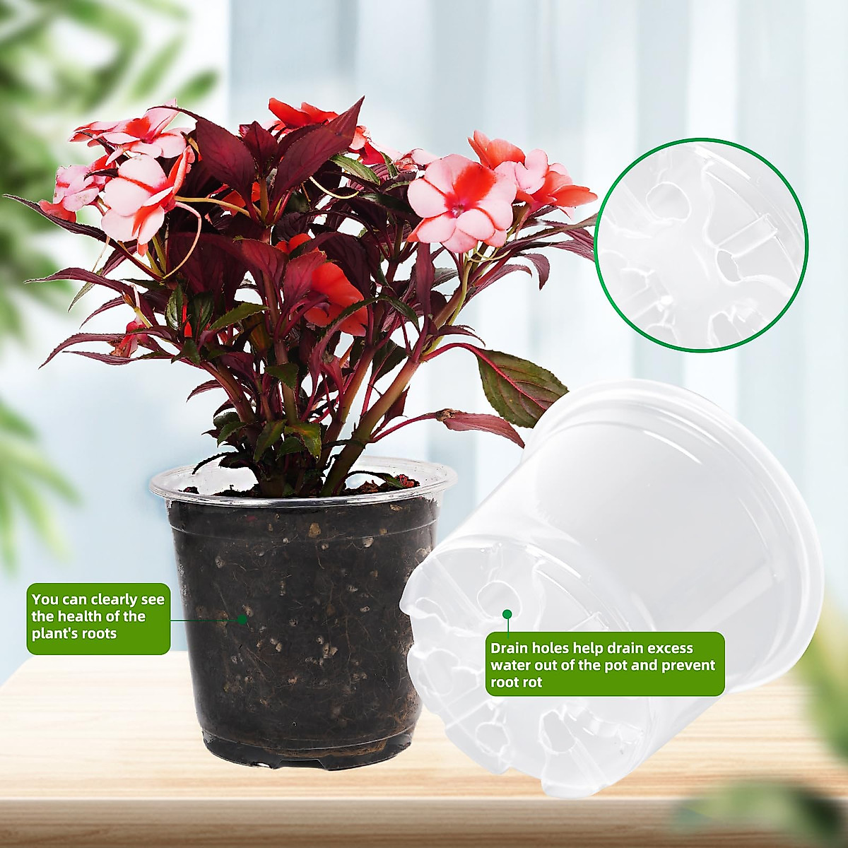 Oubest 50Pcs Clear Nursery Pots Variety Pack Plastic Pots for Plants Orchid Potting 3.5 5 6 Inch Mix Seedling Pots with Drainage Holes Indoor Outdoor Flower Pots