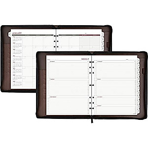 AT-A-GLANCE Day Runner Undated Harrison Leather Day Planner, 8-1/2-x-11-inch (307-0304), Brown
