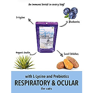 In Clover Spry Daily Respiratory and Ocular Support Soft Chews for Cats, with L-Lysine, Superfoods, and Prebiotics for a Strong Immune System, 2.1 oz. (60 count)