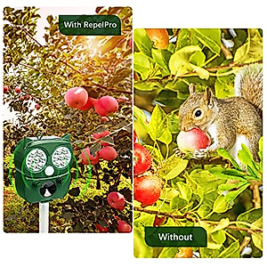 Repelpro Solar Powered Ultrasonic Animal & Bird Repeller, Green