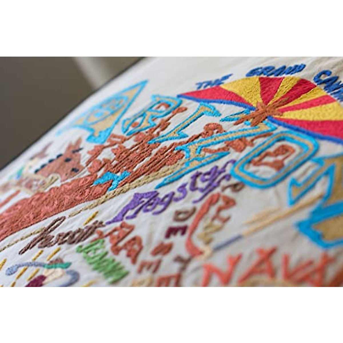 Catstudio Arizona Embroidered Decorative Throw Pillow