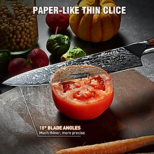 Damascus Kitchen Knife Set 3 PCS, Ultra Sharp Chef Knife Set With Japan VG-10 Steel Core, Professional High Carbon Steel Japanese Knife Sets for Cooking With Ergonomic Wooden Handle & GIFT BOX