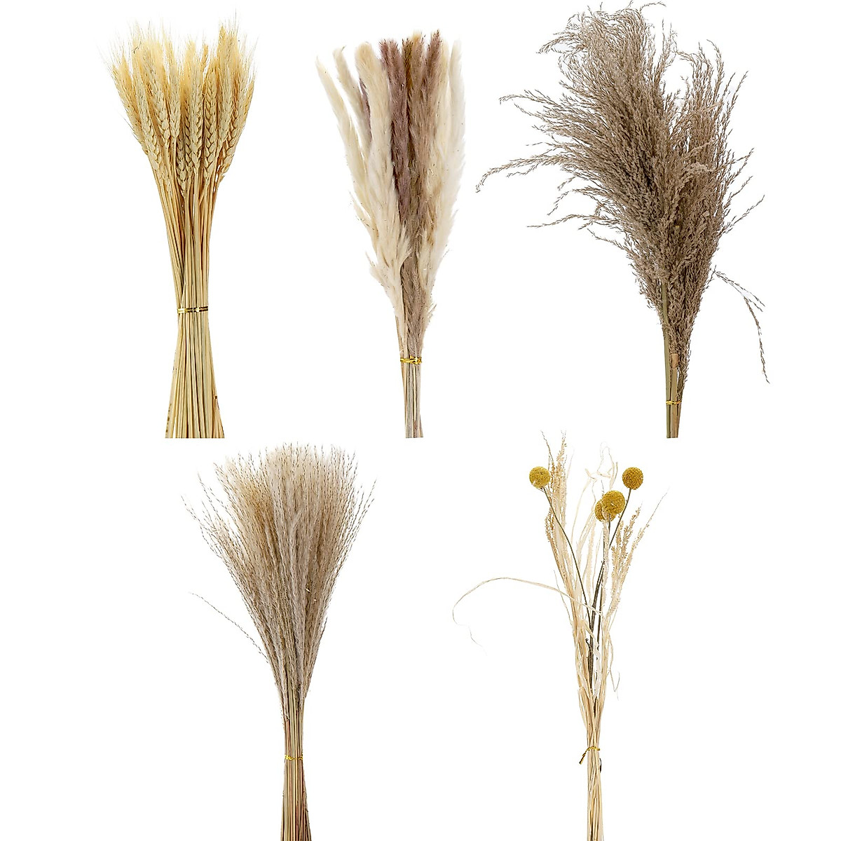 DEAYOU 65 PCS Natural Dried Pampas Grass, 17" Tall Dry Pampas Grass Branches for Boho Decor, Fluffy Pompous Reed Plants Stems Bundle for Flower Arrangements, Home Wedding Decor, 5 Styles