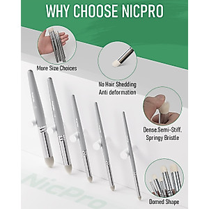 Nicpro Miniature Paint Brushes Dry Brush - 20PCS Model Paint Brush Set with Nylon Case for Acrylic, Watercolor, Detail Paint Brush Drybrush for Warhammer 40k, Citadel Paint, Model, DND Miniatures