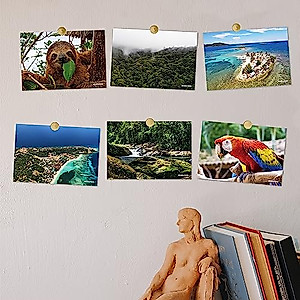Dear Mapper Honduras Natural Landscape Postcards Pack 20pc/Set Postcards From Around The World Greeting Cards for Business World Travel Postcard for Mailing Decor Gift