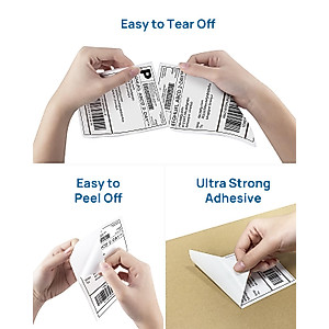 4"x6" Direct Thermal Shipping Label Compatible with Zebra, JADENS, iDPRT SP410, POLONO Perforated Postage Label Paper for MUNBYN, Rollo, Jiose, Permanent Adhesive, Commercial Grade, 200 Labels/Roll