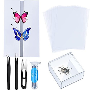 14 Pieces Insect Specimen Tools Kit Insect Display Case Box with Clear Top 8 Sheets Thin Tracing Paper Butterfly Mounting EVA Foam Pinning Board Pins 3 Pcs Insect Specimen Tools for Bugs Collection