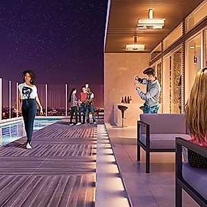 Dimplex DSH Series Indoor/Outdoor Infrared Heater (Model: DSH20W), 6824 BTU, 240 Volt, 2000 Watt, Grey