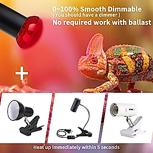 HANJION 2 Pack 100W Reptile Heat Lamp Bulb, UVA Reptile Infrared Basking Bulb, Red Glass Heat Bulbs for Reptiles and Amphibians, Bearded Dragon, Lizard, Tortoise, Hedgehogs