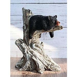 Ebros Lazy Days of Summer Black Bear Sleeping On Tree Branch Statue Wildlife Forest Rustic Cabin Decor Bear Figurine